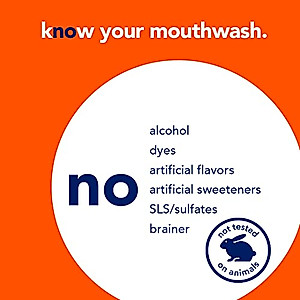 Hello Bye Bye Bacteria Oral Rinse Mouthwash, Alcohol Free Mouthwash for Bad Breath with Tea Tree Oil and Zinc, Multipack, No Alcohol, No Dyes, Vegan, Herbal Mint Flavor, 3 Pack, 16 OZ Bottles