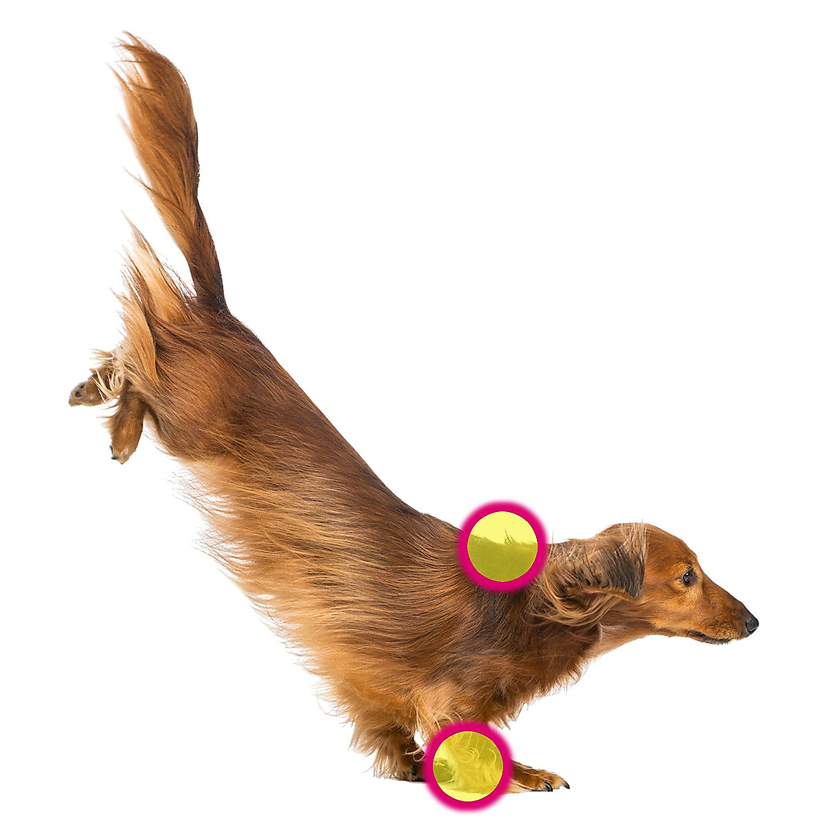 ARTERO Powdex.Calcium Carbonate Formula That facilitates Stripping.