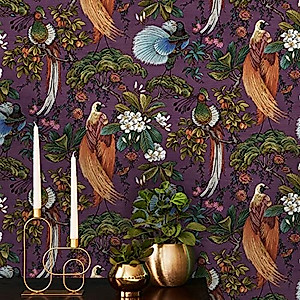 Holden Outside in Songbird Bird Theme Oriental Tropical Wallpaper Feature Wall Bedroom Livingroom Plum Deep Purple 13150