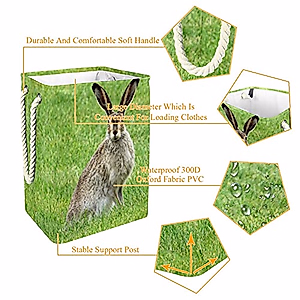 DEYYA Waterproof Laundry Baskets Tall Sturdy Foldable Wild Rabbit Bunny Hare Nature Grassland Print Hamper for Adult Kids Teen Boys Girls in Bedrooms Bathroom