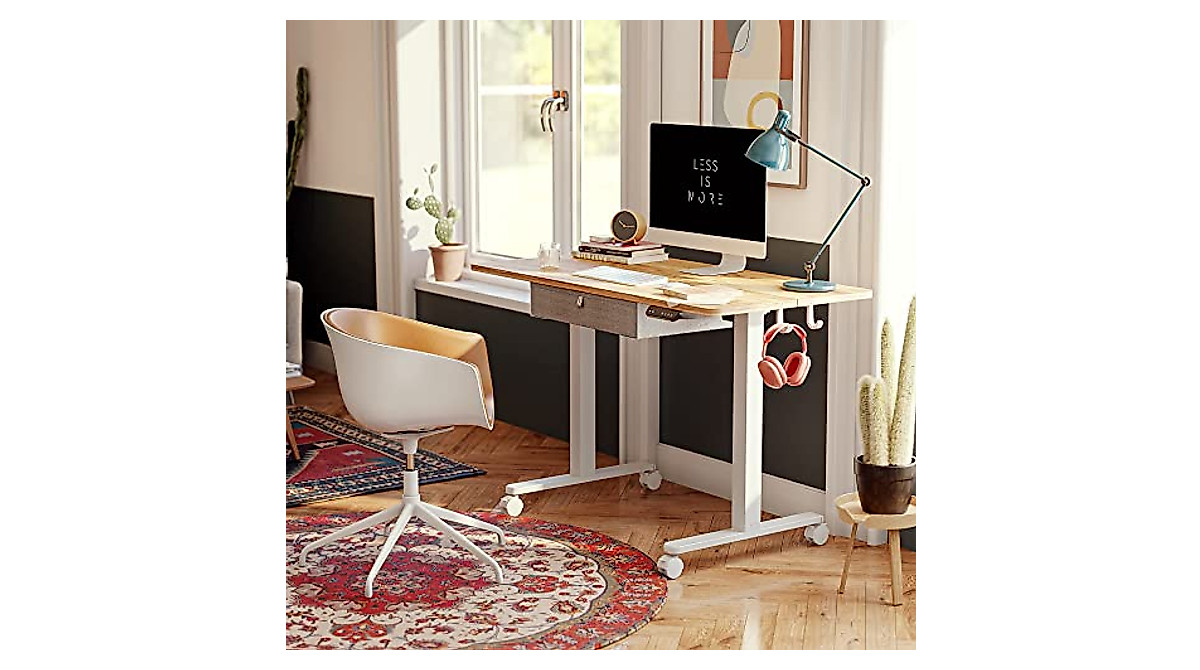 Ergonomic FEZIBO Electric Standing Desk with Storage