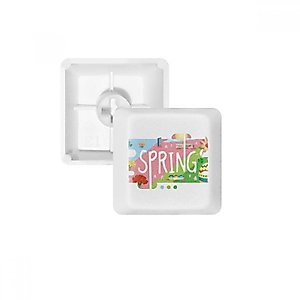 DIYthinker Spring Season Illustration Keycap Mechanical Keyboard PBT Gaming Upgrade Kit