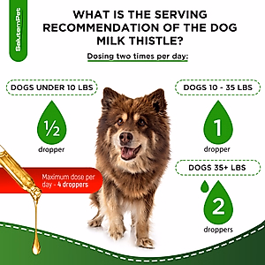 Milk Thistle for Dogs | Dog Liver Supplement | Milk Thistle Supplement for Dogs | Liver Support for Dogs | Liquid Milk Thistle for Dogs | Dog Supplements for Liver | Natural Product | 2 Pack х 2 Oz