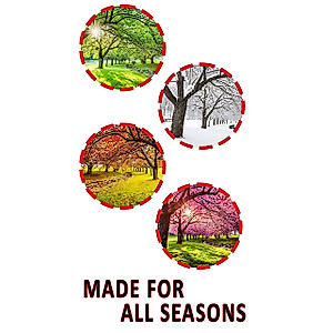 Fuji Apples BLACK Aluminum Composite Sign, 8.5"x10"