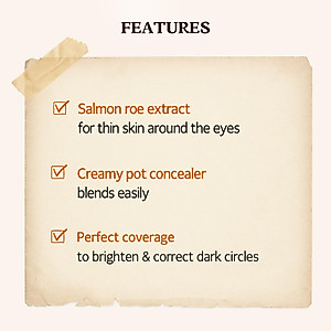 SKINFOOD Salmon Dark Circle Concealer Cream #2 - Concealer for Dark Circles - Under Eye Concealer for Dark Spots and Wrinkles - Full Coverage Under Eye Concealer - 0.35 Oz/10 g (Salmon Beige)