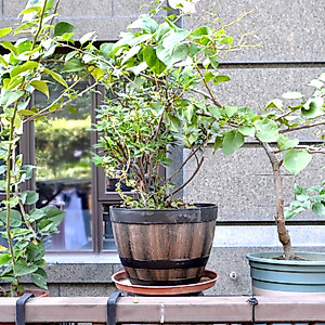 Quarut 9 Inch Plant Pots with Drainage Holes & Saucer,2 Pack Decor Flower Pots Canbe Used for Indoor Outdoor.Resin Whiskey Barrel Planters Imitation Wooden Barrel Design,Lightweight,no Fade.(Brown)