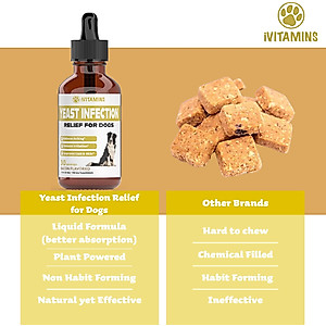 Natural Yeast Infection Treatment for Dogs | Helps to Support Itch & Inflammation Relief, & More | Dog Ear Infection Treatment | Dog Itch Relief | Dog Yeast Ear Infection Treatment | (Bacon) (2 Pack)