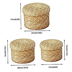 KUYYFDS 3pcs Straw Storage Baskets with Lid Woven Organizer Round Finishing Storage Box for Bedroom Living Room Laundry Snack(S M L) Shelf Baskets