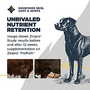 Blackwood Puppy & Performance Dry Dog Food, Chicken Meal with Ancient Grains, 10 Pound Bag for Growing & Working Dogs, Supports Active Lifestyle