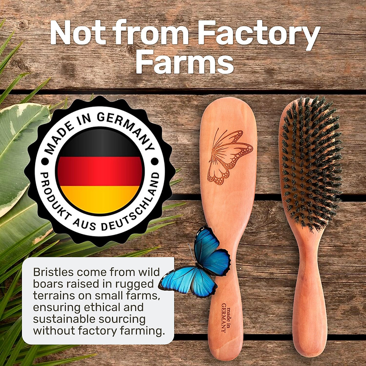 100% Pure Calcutta Boar Bristle Hairbrush for Natural Healthy Hair, Stiff Bristle, Made in Germany's Black Forest