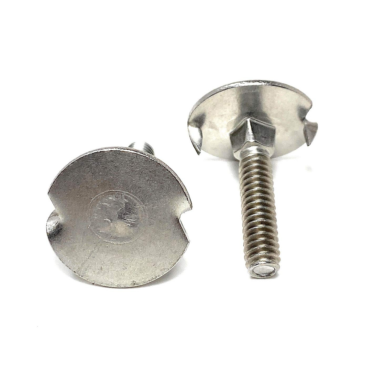 (10) 1/4-20x1-1/4 Stainless Steel Fanged Elevator Bolt Square Neck (1" Diameter Head) 18-8