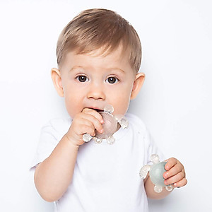 Eco Inspired Turtle Baby Teether Toy - Baby Teething Toys for 3M+ Food Grade Silicone Teether for Soothing Teething Baby Sore Gum Teethers for Babies with Teether Clip (Green)