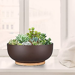 Thirtypot 10 Inch Terracotta Planter, Large Succulent Bonsai Planter Pot with Drainage Hole and Bamboo Saucer for Indoor Plants, Brown