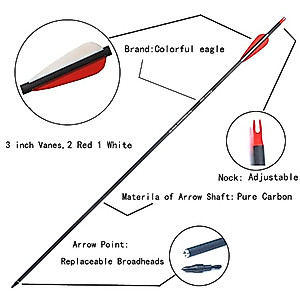 COLORFUL EAGLE 28/30/31 Inches Spine 300/400 Pure Carbon Arrows with Red and White Color for Recurve/Compound Bows Archery Hunting （Pack of 12） (Spine 400, 28 Inches)