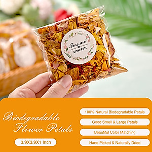 20 Pack Biodegradable Confetti, Dried Flower Petals,Biodegradable Flower Petals,Wedding Send-Off Ideas for Wedding Proposal Party Valentine's Day Decor Flower Girls (Yellow Red Rose)