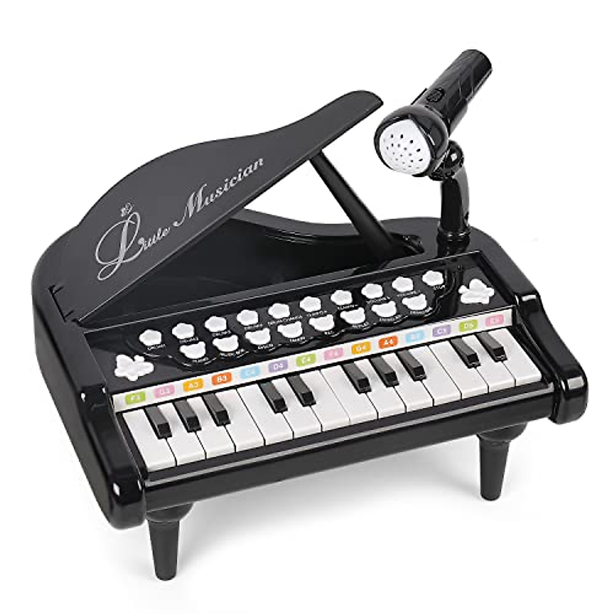 24 Keys,Kids Grand Piano Keyboard Toy for Beginners,3 4 5 6 Years Old Toddler Girl Boy First Birthday Gift,Musical Instrument,w/Microphone,Multiple Sounds,Note Stickers,Recordings,Connecting MP3,Black