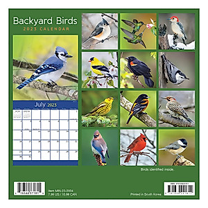 TF PUBLISHING Backyard Birds Mini Calendar 2023 | 2023 Wall Calendar 12 Month Large Grid 2023 Calendar Wall | Premium Wall Calendar 2023 Monthly | Planners + Calendars 2023 Office Calander 2023 7"x7"