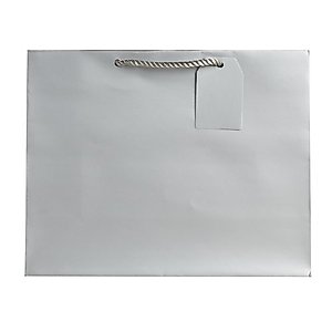 Jillson Roberts 6-Count Large 12.5" x 10" x 5" Gift Bags Available in 12 Solid Colors, Silver Matte
