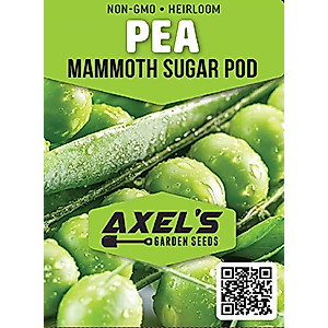 Bulk Pea Seeds for Planting - Grow Mammoth Snow Melting Sugar Pod Peas in Home Outdoor Garden - Non-GMO Heirloom with Instructions to Plant a Home Vegetable Garden (4 Ounces)