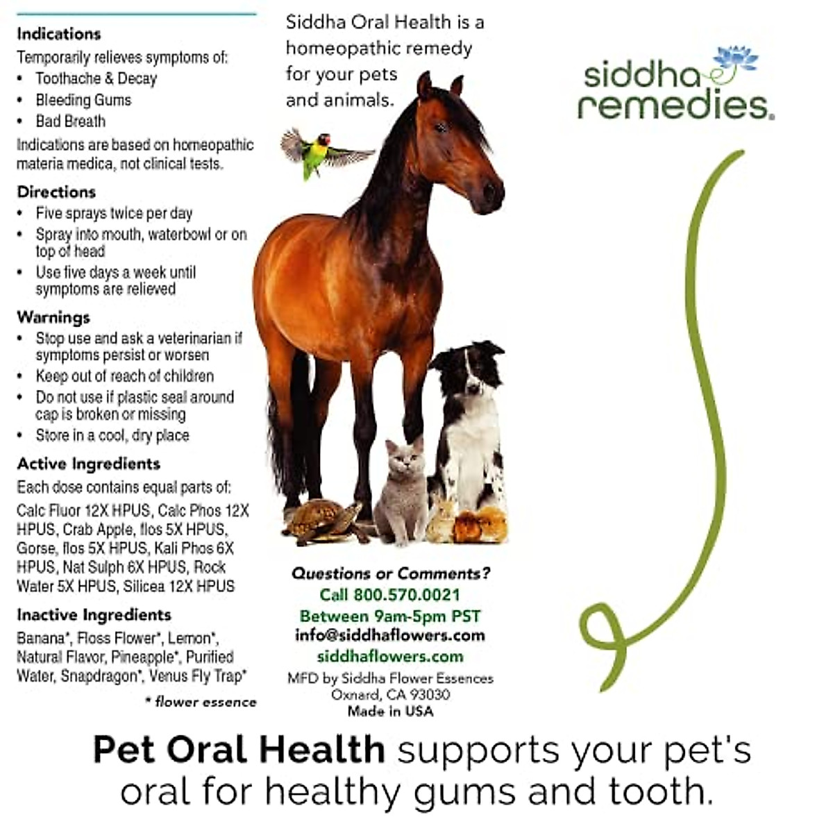 Siddha Remedies Oral Health for Pets | Cat Dog Oral Care for Toothache Decay | Breath Spray for Bad Breath, Healthy Gums Dogs Tooth Care | 100% Natural Homeopathic Remedy Cell Salts Flower Essences