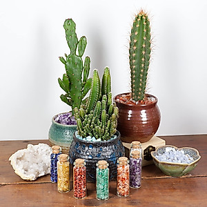 Cherry Tree Collection 1/2 Pound Polished Tumbled Gemstone Chips, Pebbles, Crystal Chips Bulk for Jewelry Making, Healing, Plants, Succulents, Aquariums, Decoration, Chakra (Amethyst)