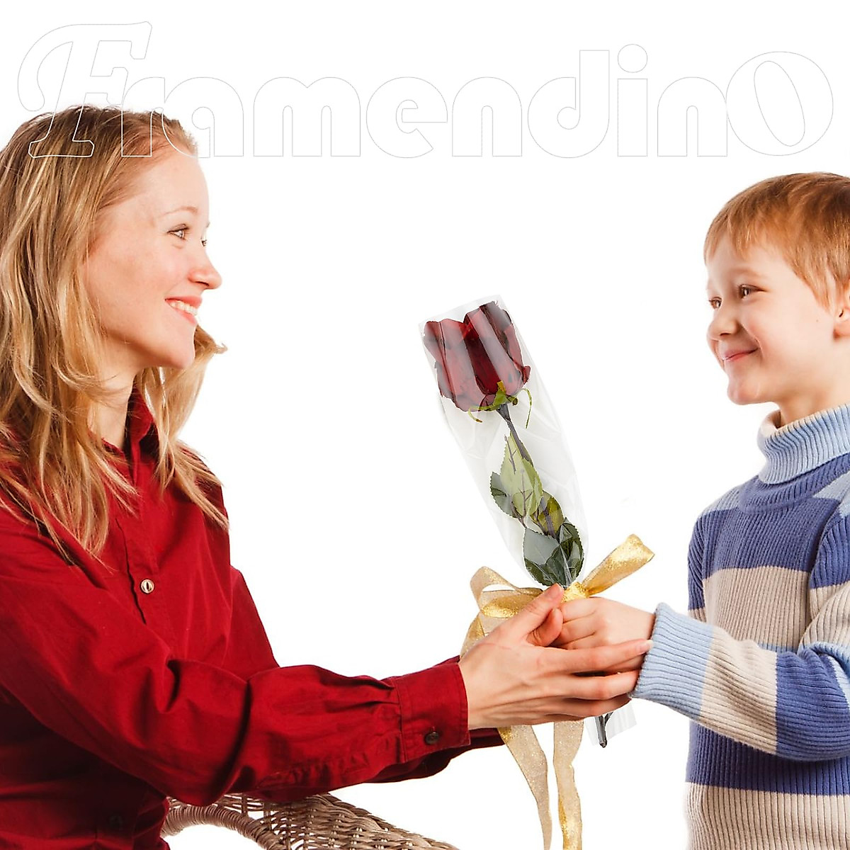 Framendino, 100 Pack Single Rose Clear Bags Flower Packaging Bag Floral Bouquet Wrapping Paper for Birthday Gift Valentines Day