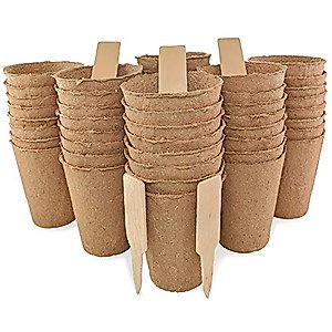 Daniel's Plants 3” Peat Pots | Plant Pots for Seedlings & Seed Starter Nursery Pots | Organic Biodegradable Plant Pots | Eco Friendly | Bonus 10 Wooden Plant Garden Labels | Bulk 60 Pack | 3 Inch