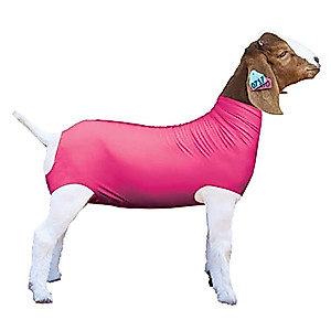Show Pro Pink Spandex Goat Tube for Show Goats - Show Livestock Supplies: Goat Covers & Blankets (Medium)
