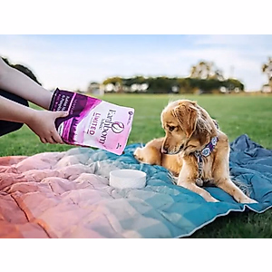 Earthborn Holistic Venture Rabbit Meal & Pumpkin Limited Ingredient Diet (4 Pounds)