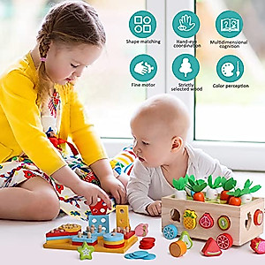 BEAUAM Toddlers Montessori Educational Toys for Boys 2 3 4 Year Old Girls, Wood Shape Classification Toys for Gifts for Children 2-4, Wood Preschool Carrot Harvest Game