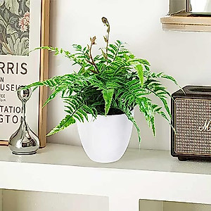 NOUKOW 14" Small Fake Boston Ferns Artificial Plants for Home Decor intdoor Fake Potted Plants for Office Desk Farmhouse Room Decor