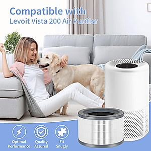 XBWW 2 Packs Vista 200 Replacement Filters Compatible with Levoit Vista 200 Air Cleaner Purifier with H13 True HEPA, Activated Carbon Filter and Nylon Pre-Filter, Part # Vista 200-RF