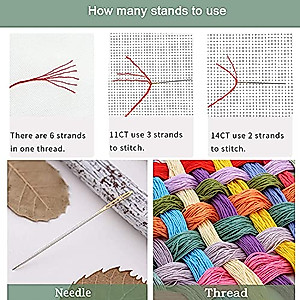 ZuoAnLF Cross Stitch Kits,Cross-Stitch Stamped Kits for Kids Adults Beginner,DIY Embroidery 11CT 19.7*21.7inch
