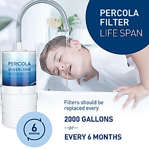 PERCOLA AP217 Under Sink Water Filter, Compatible with 3M® Aqua-Pure® AP217, 578604 Full Flow Water Filter for AP200 Systems (White, 2 Pack)