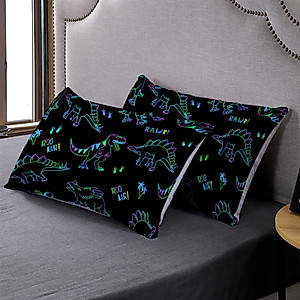 BailiPromise Trippy Dinosaur Comforter Set Queen Size for Boys Kids Quilt Set,Jurassic Dinosaur Bedding Set 3 Piece,Dino Duvet with Pillow Shames for All Seasons Ultra-Soft Lightweight Breathable