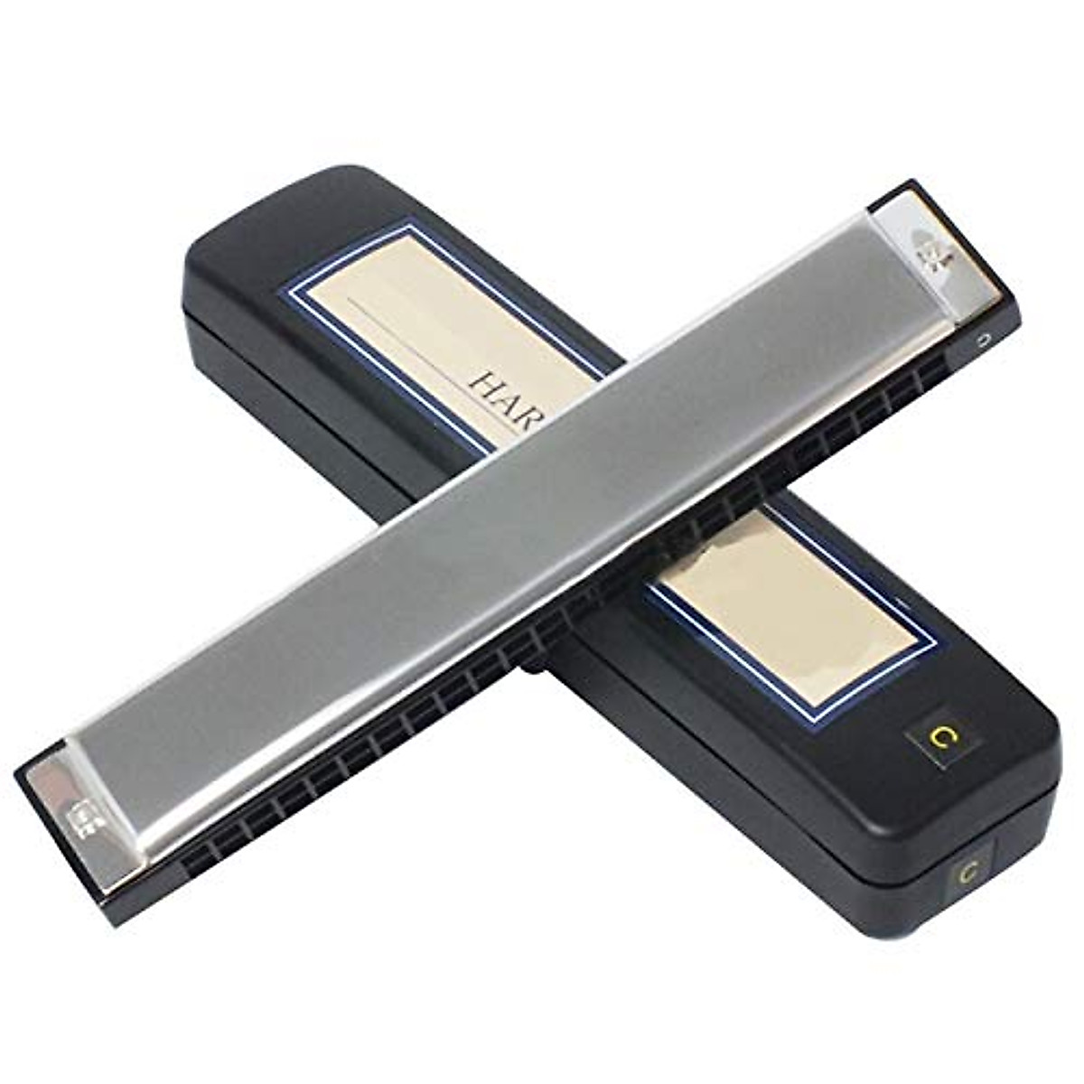 WAAZVXS Harmonica 24 Holes Key C Musical Instruments for Beginner (Color : Key C)