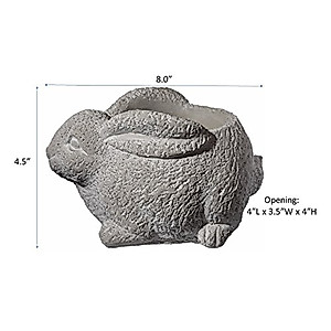 Classic Home and Garden 9/3442/1 Rabbit Planter, Large, Natural