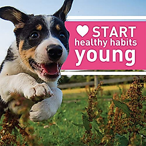 Greenies Puppy 6+ Months Petite Natural Dental Care Dog Treats, 12 oz. Pack (20 Treats)