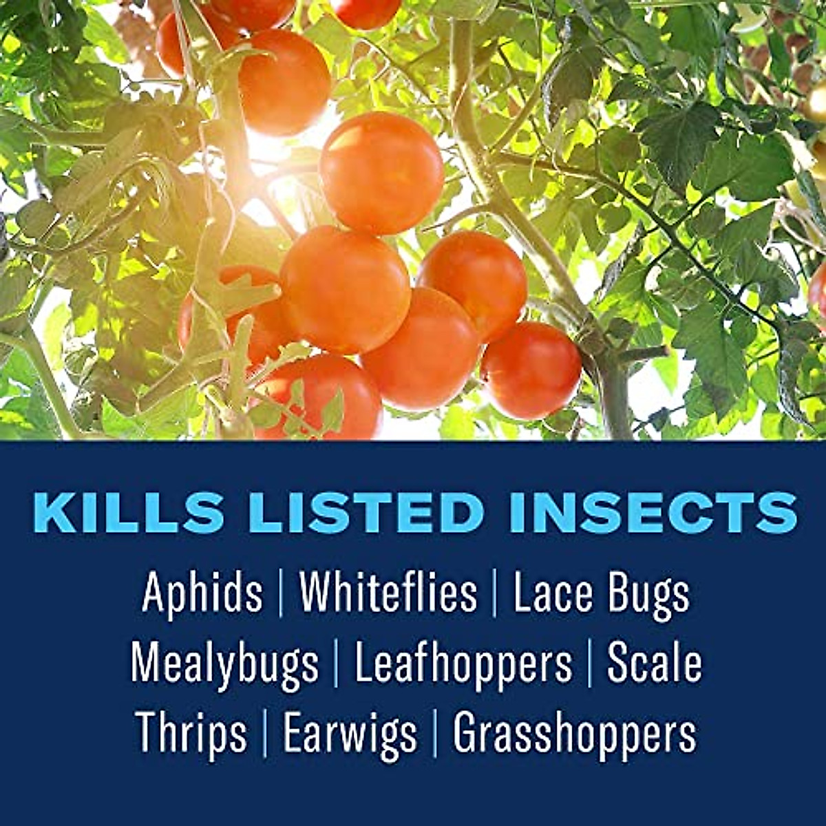 BioAdvanced Organics Brand Insecticidal Soap, Ready-to-Use, 24 oz