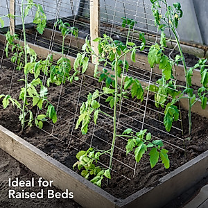 GOLETIO Cucumber Trellis for Raised Bed - 35" x 55" Garden Trellis for Climbing Plants Outdoor - A Frame Trellis for Climbing Vegetables with Plant Support Clips and Gloves