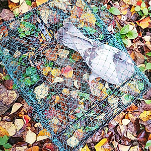 DSQSTMR Pigeon Bird Trap Trapping Hunting Quail Cage Sparrow Spring Starling Catching Net Traps for Trapping