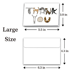 Cat Thank You Cards (6 Packs), Alphabet Thank You Cards for Cat Lovers