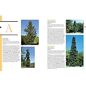 The Tree Book: Superior Selections for Landscapes, Streetscapes, and Gardens
