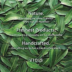 I & Candle Aromatherapy Soy Wax Scented Candles (Rosemary & Mint)