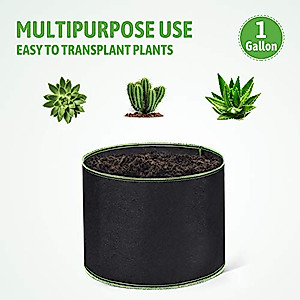 Delxo Garden Grow Bags 1 Gallon 10 Pack Plant Growing Bags Small Fabric Pots for Planting, Vegetable
