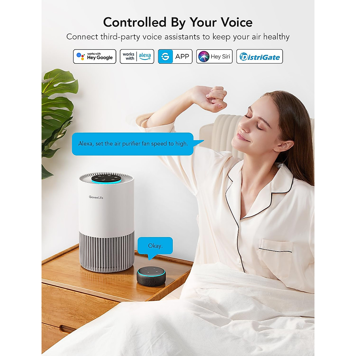 GoveeLife Smart Air Purifiers for Bedroom, with WiFi Alexa Control, HEPA 24dB Quiet Air Purifier with Fragrance Sponge, RGB Night Light, for Pet Dander, Allergies, Smoke, Office and Desktop, White