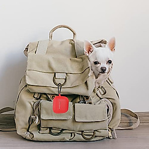 meiyasy AirPods 3 Case with Keychain, 2 Packs Full Protective Skin Cover and Silicone Hand Strap Accessories for Women Men Girl with Apple 2021 Latest AirPods 3rd Generation (Black and Red)