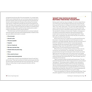 Service Dog Training Guide: A Step-by-Step Training Program for You and Your Dog
