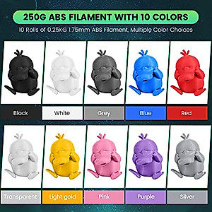 2500g 3D Printer Filament Bundle Multicolor, SUNLU ABS Filament&SUNLU PETG Filament, 10 Pack+10 Pack