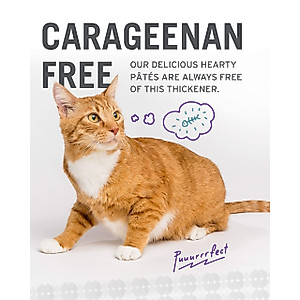 I and love and you Wet Cat Food - Beef Right Meow Pâté - Beef Recipe, Grain Free, Filler Free, 3oz Pack of 24 Cans